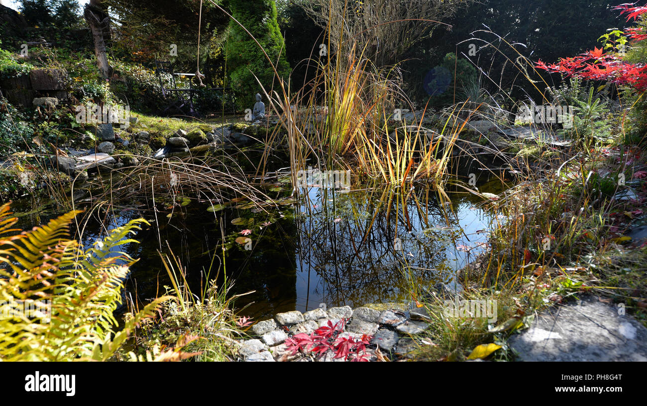 Antum hi-res stock photography and images - Alamy