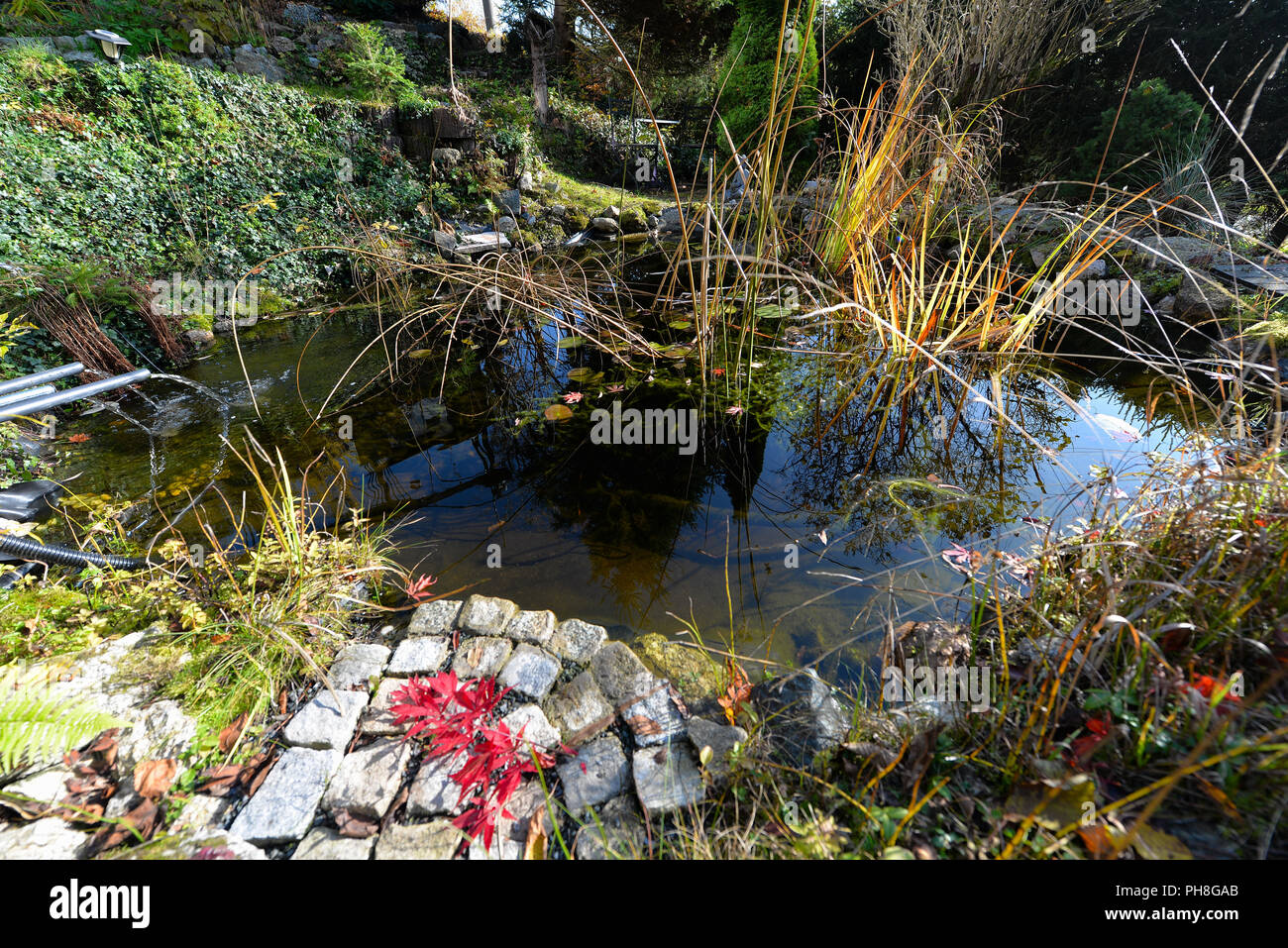Antum hi-res stock photography and images - Alamy