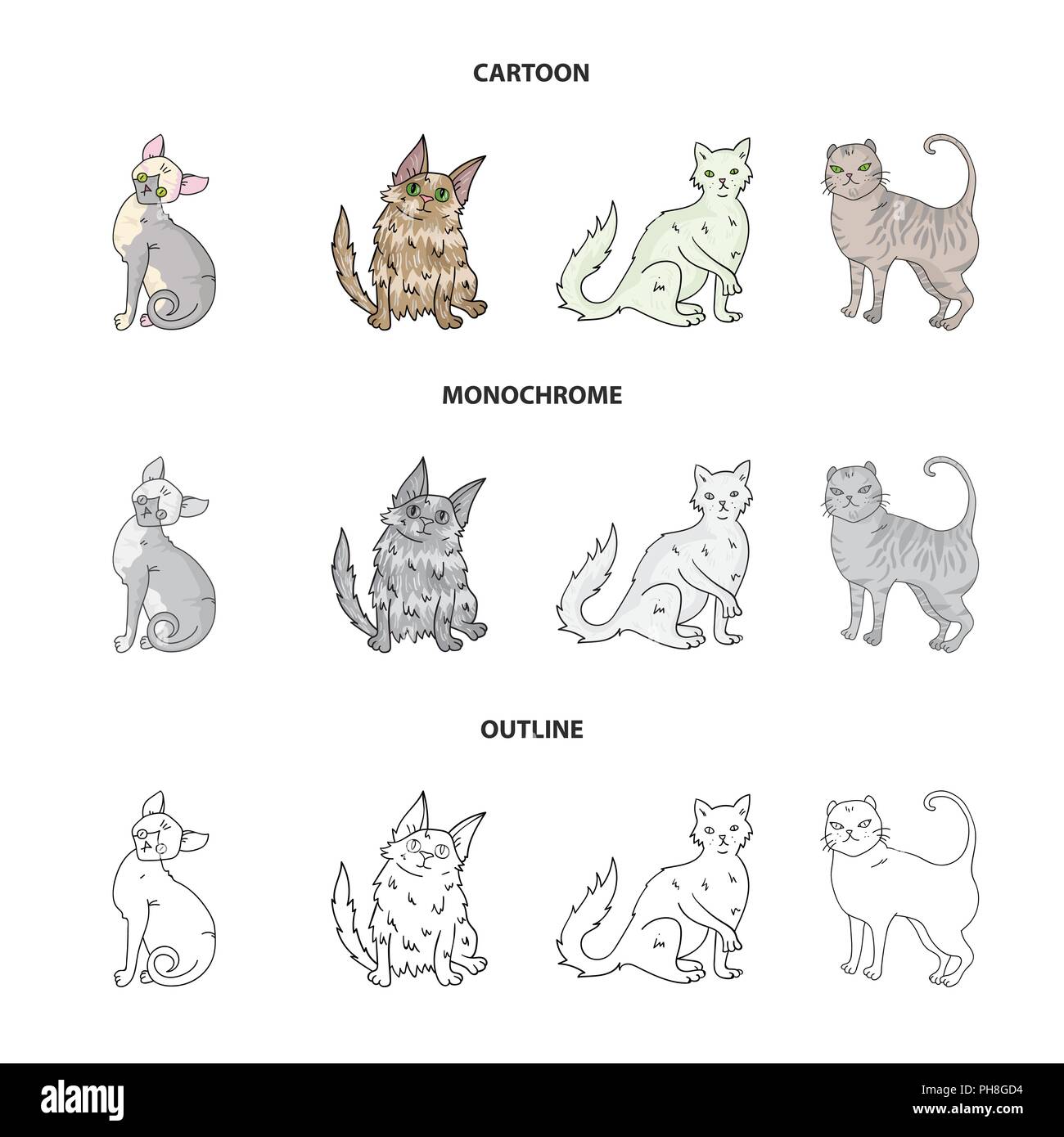 Turkish Angora, British longhair and other species. Cat breeds set ...