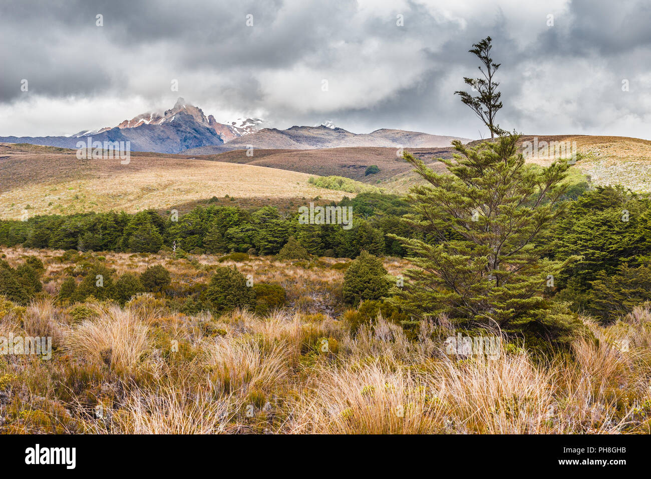 Landscape in Tongariro National Park, New Zealand Stock Photo - Alamy
