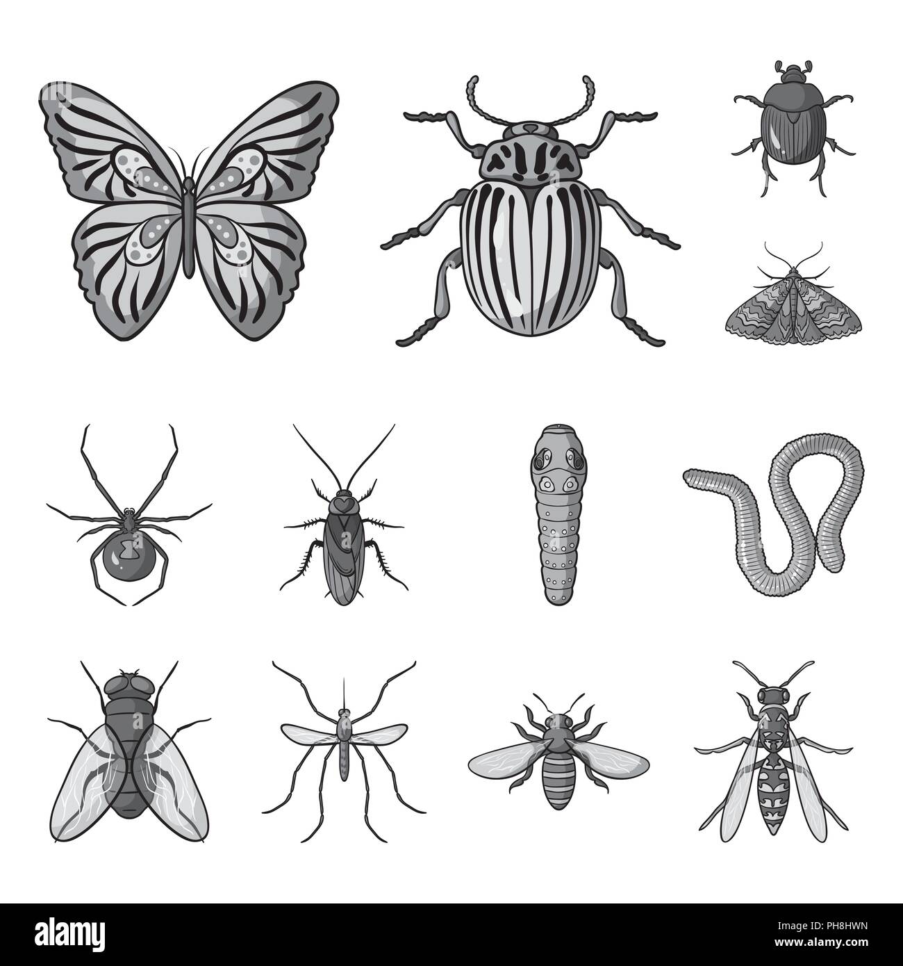 Different kinds of insects monochrome icons in set collection for ...