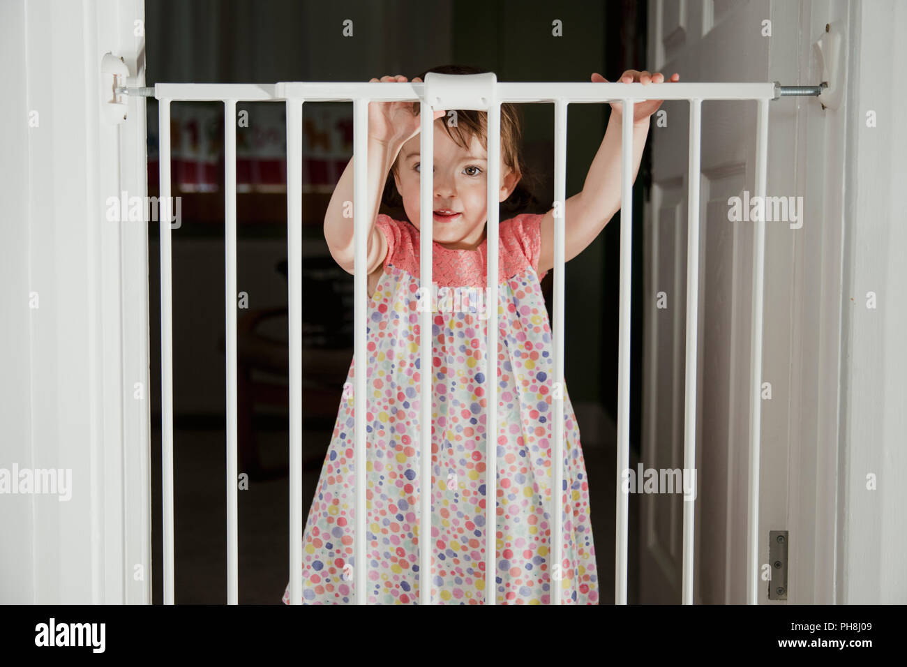 Standing gate curiosity togetherness hi-res stock photography and ...