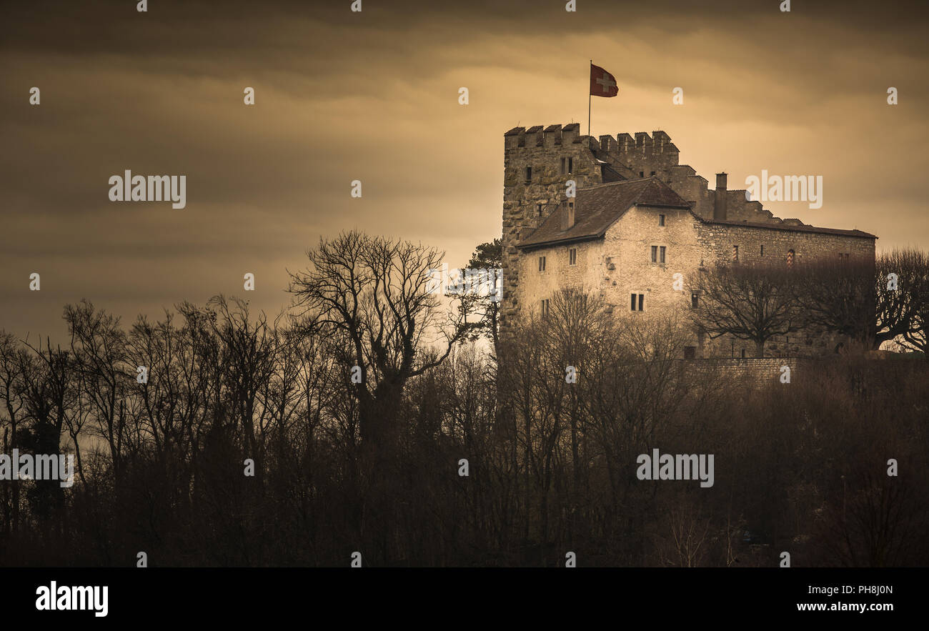 Habsburg Castle located in the Aargau, Switzerland Stock Photo - Alamy