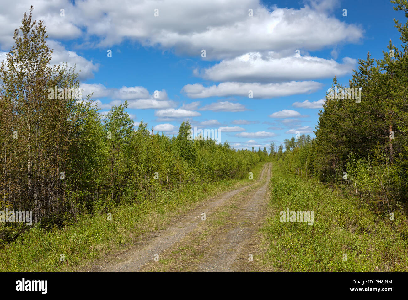 Sunny road hi-res stock photography and images - Alamy
