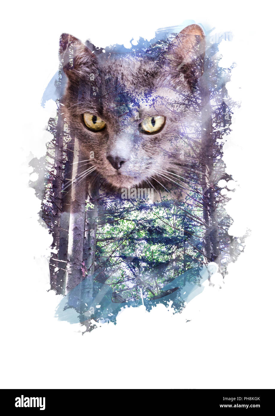 Cats Collage Background