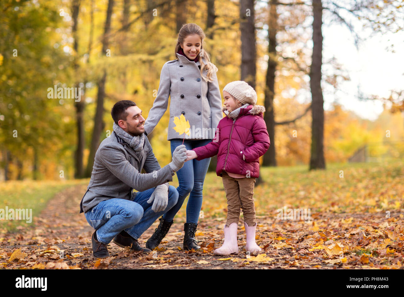 Leaf family hi-res stock photography and images - Alamy