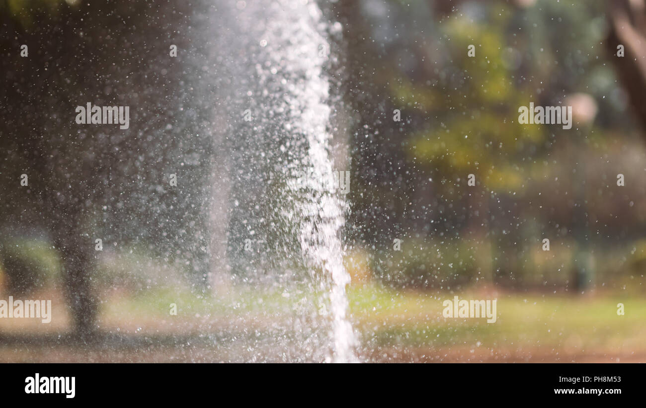 Frozen sprinkler hi-res stock photography and images - Alamy