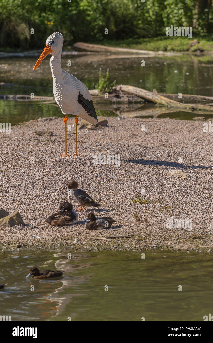 Stork model hi-res stock photography and images - Alamy