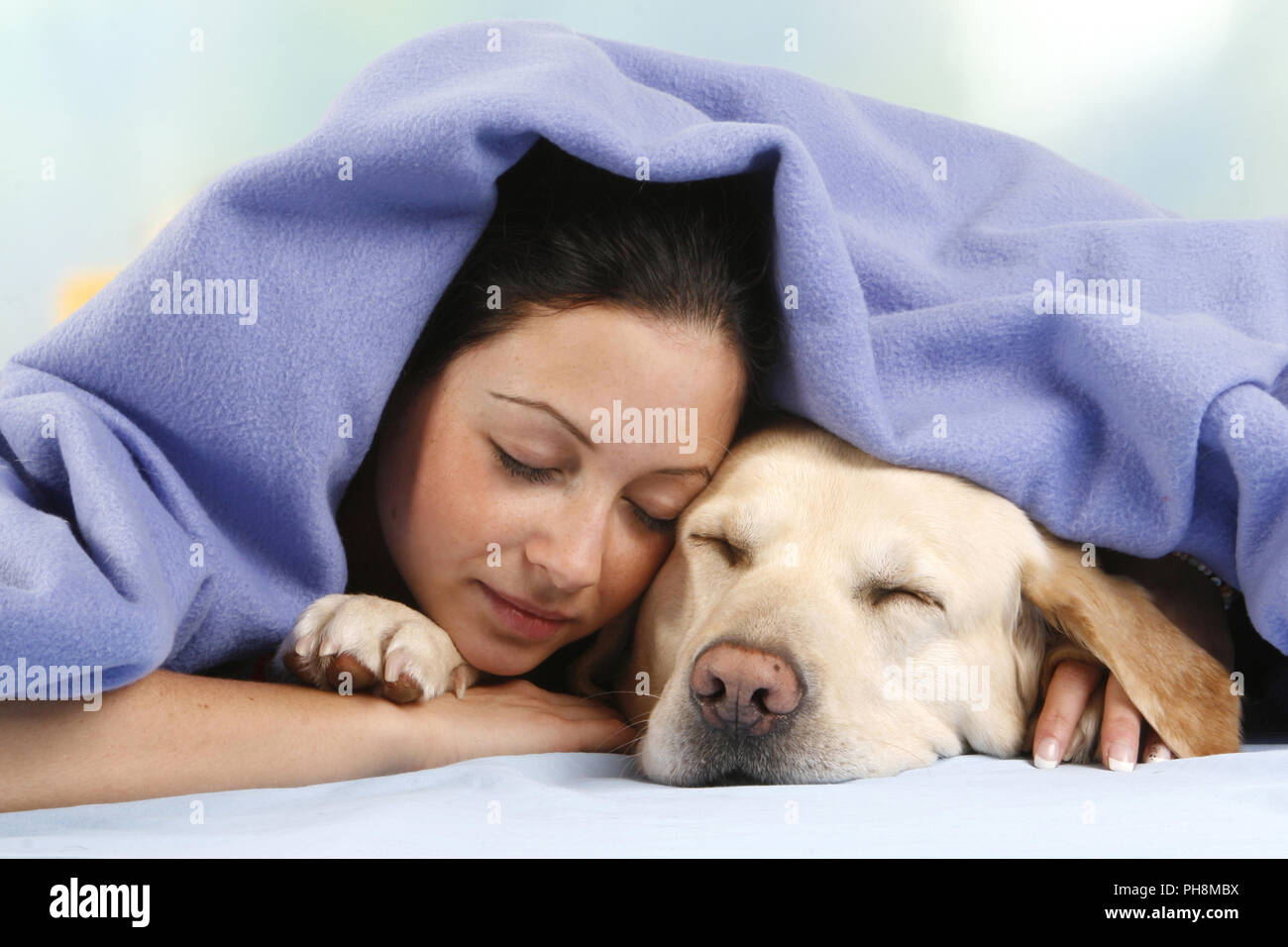 young woman, Labrador Retriever, Relaxation Stock Photo - Alamy