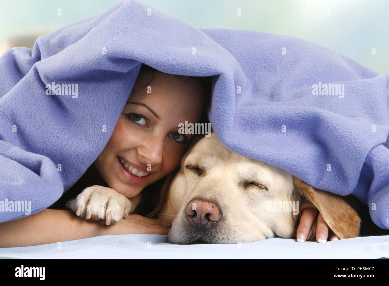 young woman, Labrador Retriever, Relaxation Stock Photo - Alamy