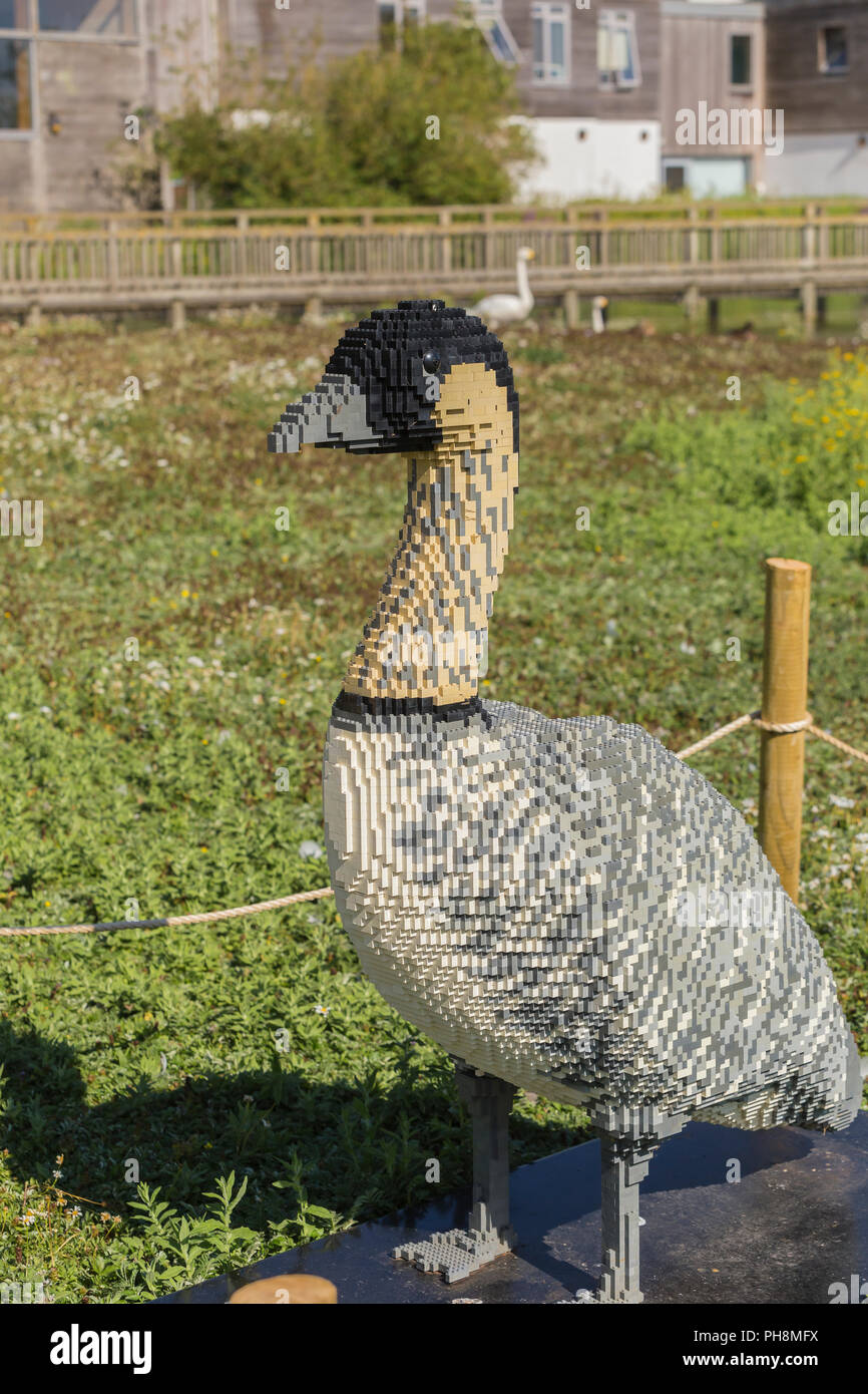 Lego model of a Hawaiian goose (Nene) at Slimbridge Stock Photo - Alamy