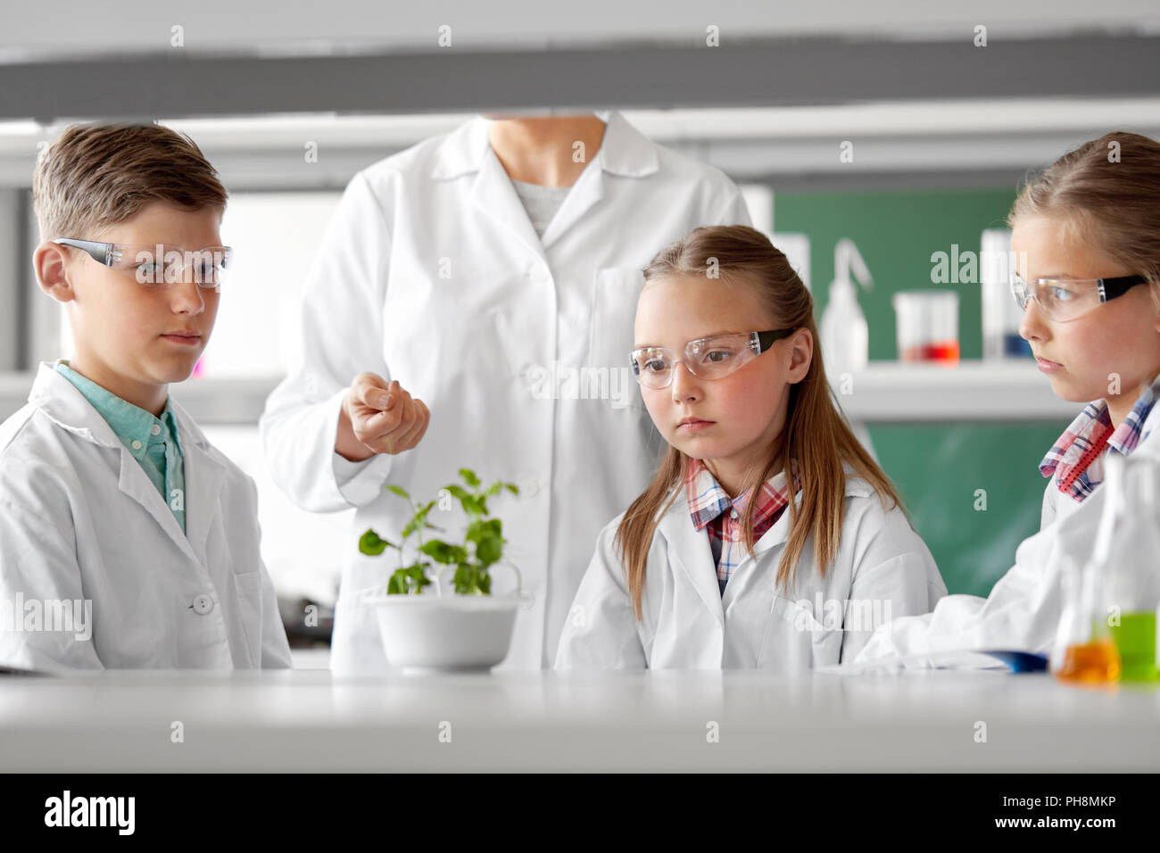 students and teacher with plant at biology class Stock Photo - Alamy