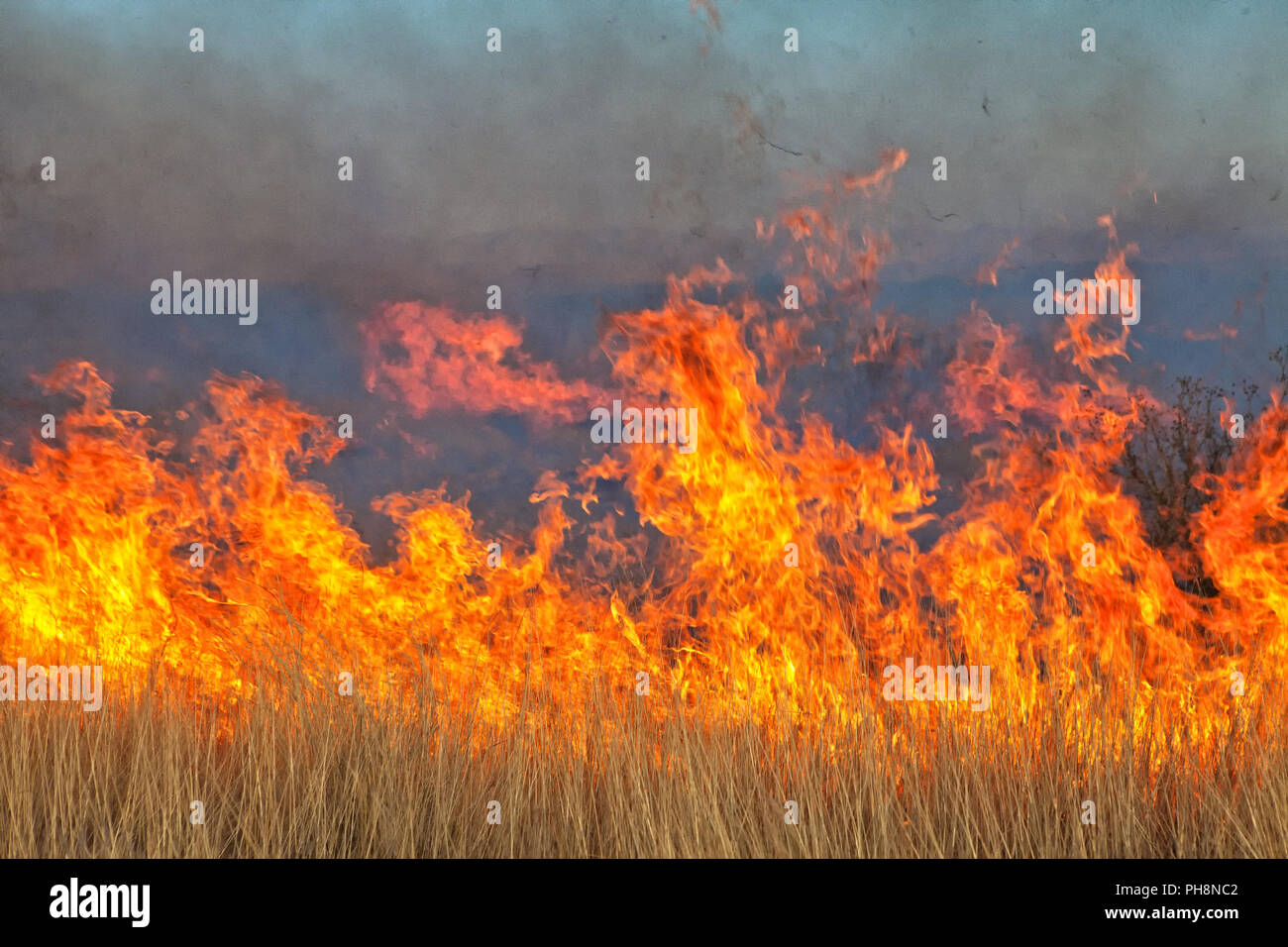 bushfire in namibia Stock Photo - Alamy