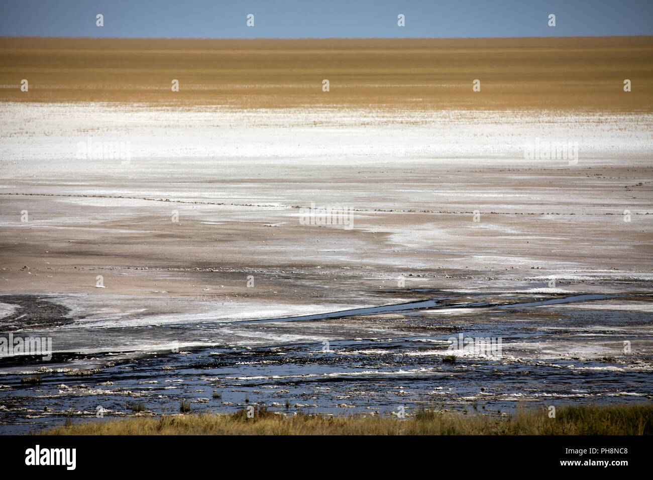 Etosha pan national park hi-res stock photography and images - Alamy