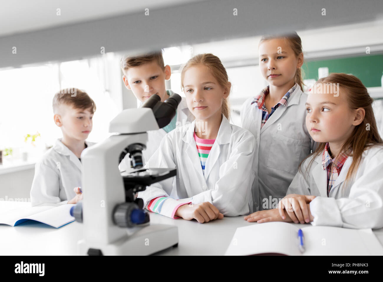 Elementary school biology class hi-res stock photography and images - Alamy