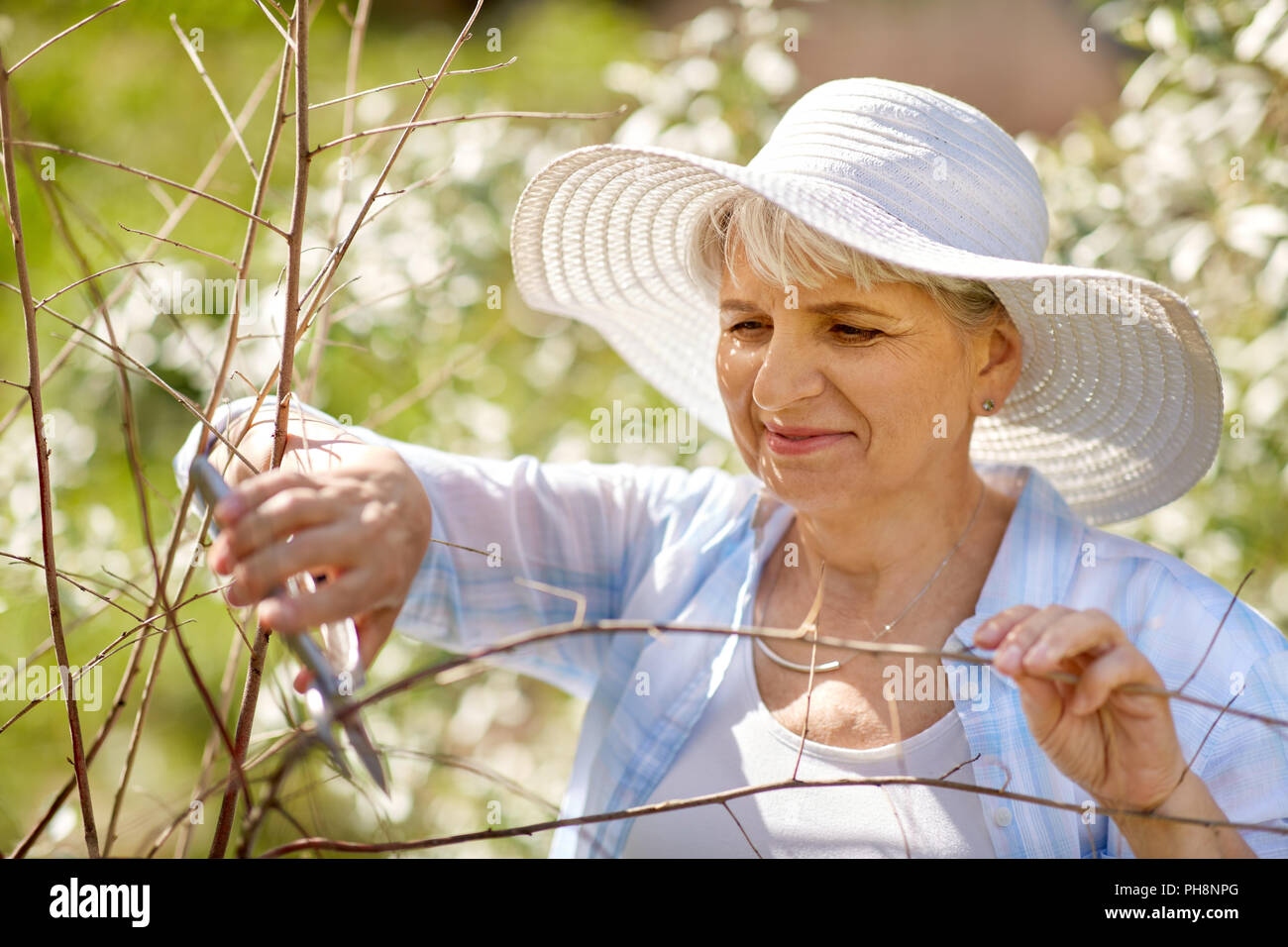 Woman pruning tree garden hi-res stock photography and images - Alamy