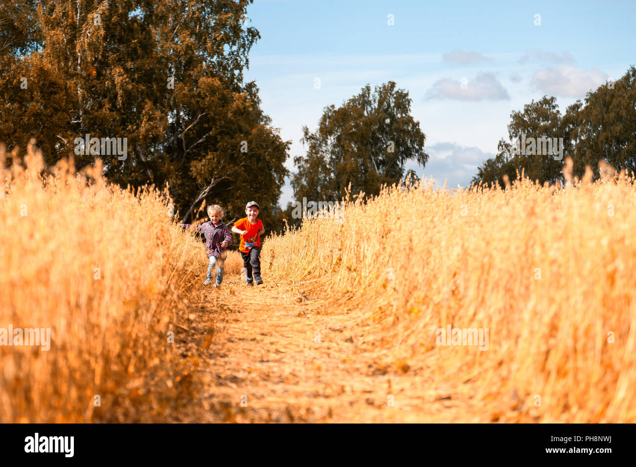 Little boy and girl on a wheat field in the sunlight running, playing ...