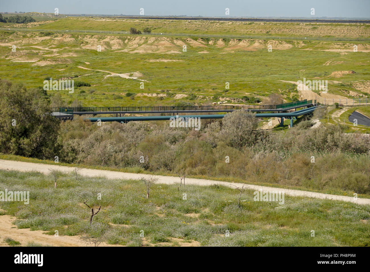 Eshkol National Park (Habasor National Park), Negev, Israel Stock Photo ...
