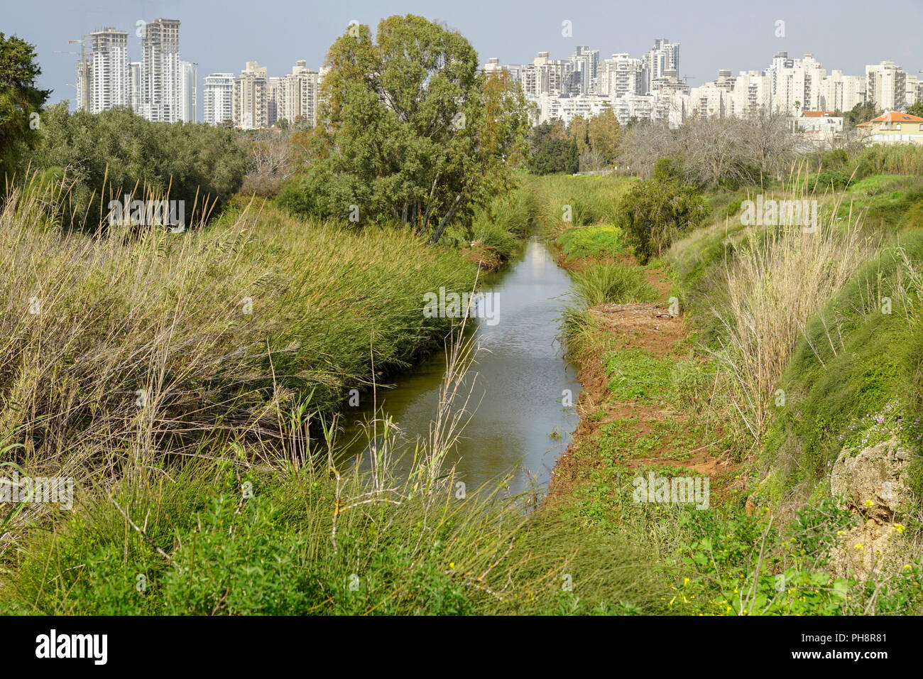 Poleg River Nature Reserve - Yakum Park, Near Natanya, Israel Stock ...