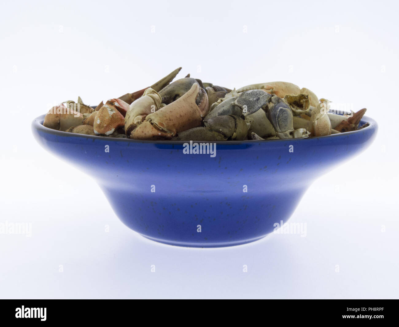 Crab nippers hi-res stock photography and images - Alamy