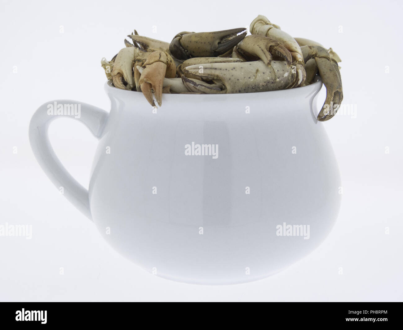 Nippers of crabs, seafood, isolated Stock Photo - Alamy