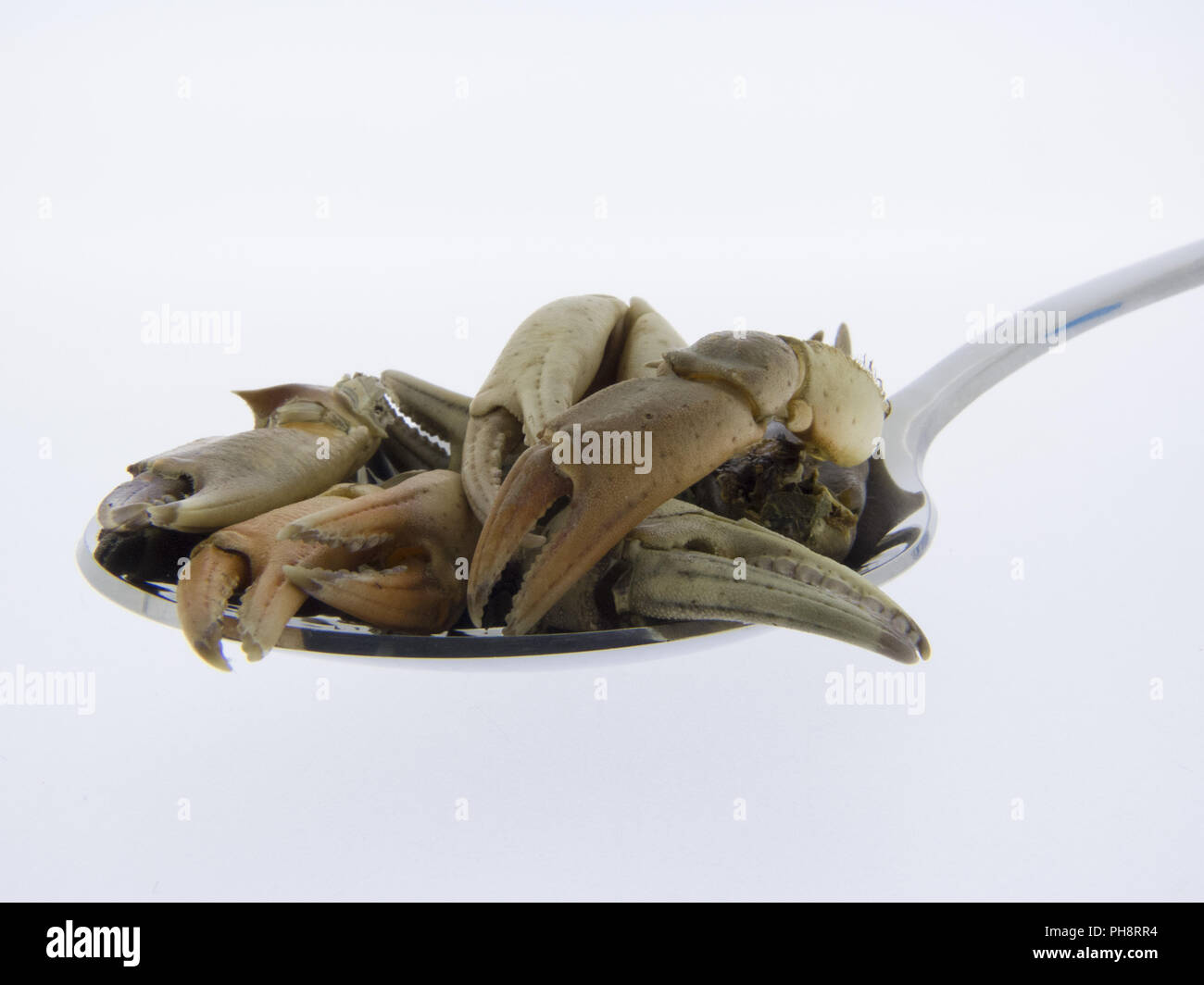 Nippers of crabs, seafood, isolated Stock Photo - Alamy