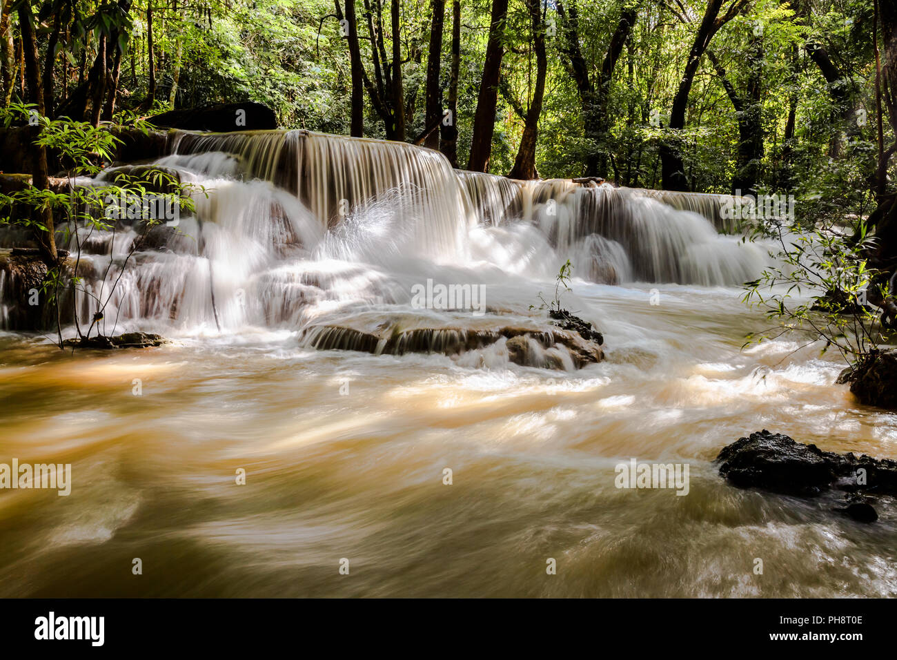Tropical rainforest scene with rain hi-res stock photography and images ...