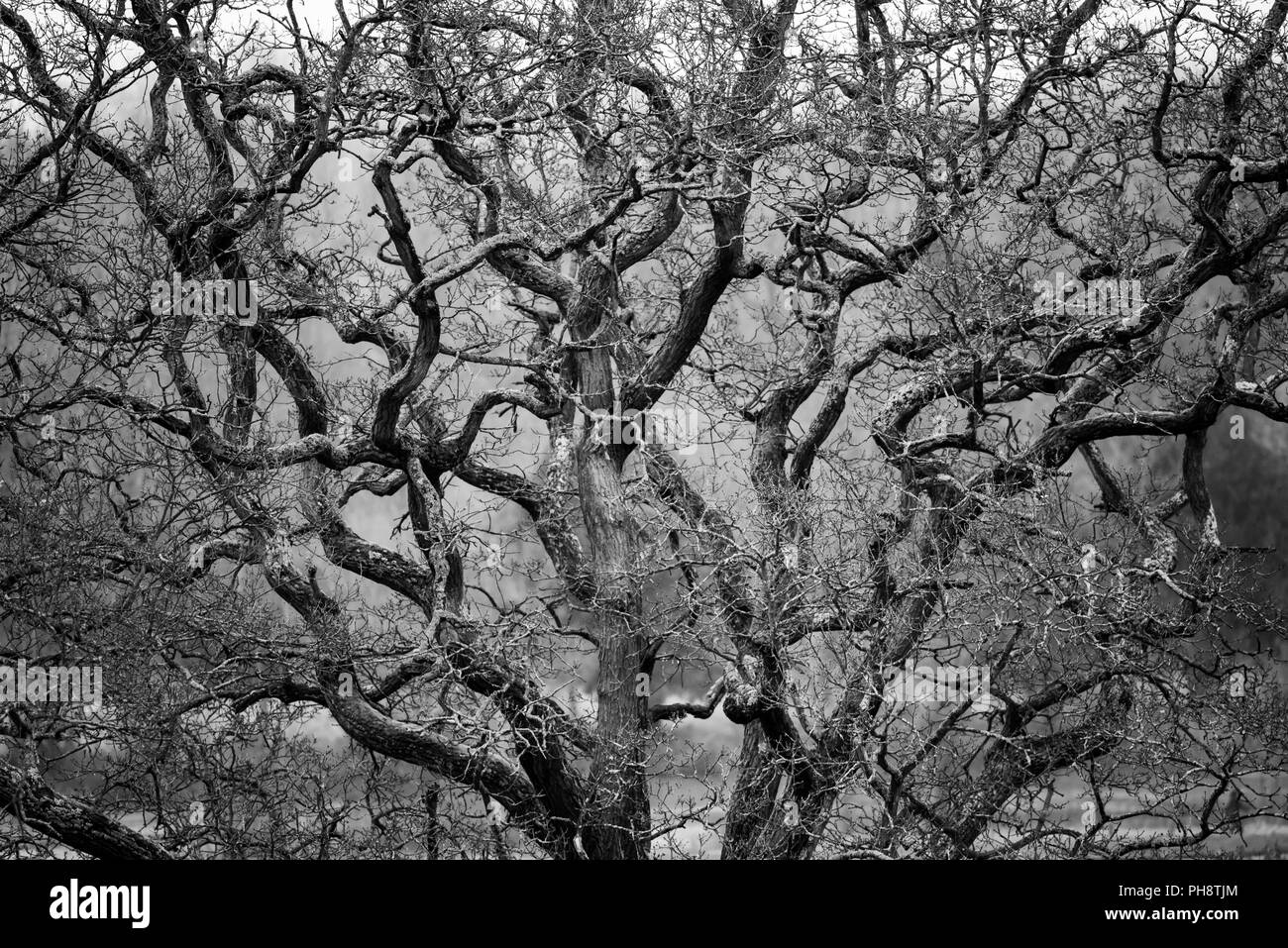 Runnymede memorial Black and White Stock Photos & Images - Alamy