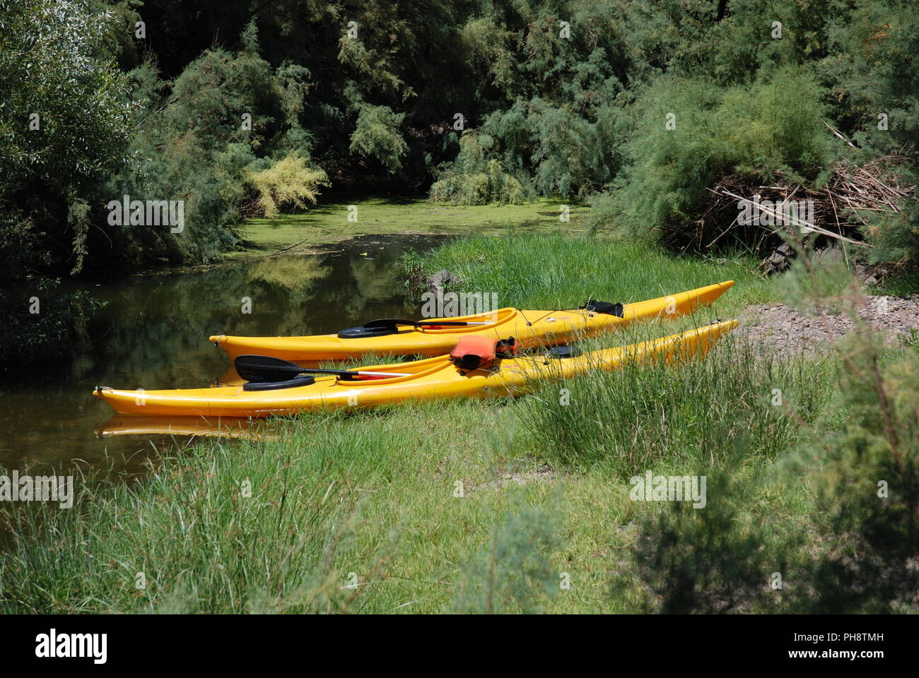canoes on riverbank Stock Photo - Alamy