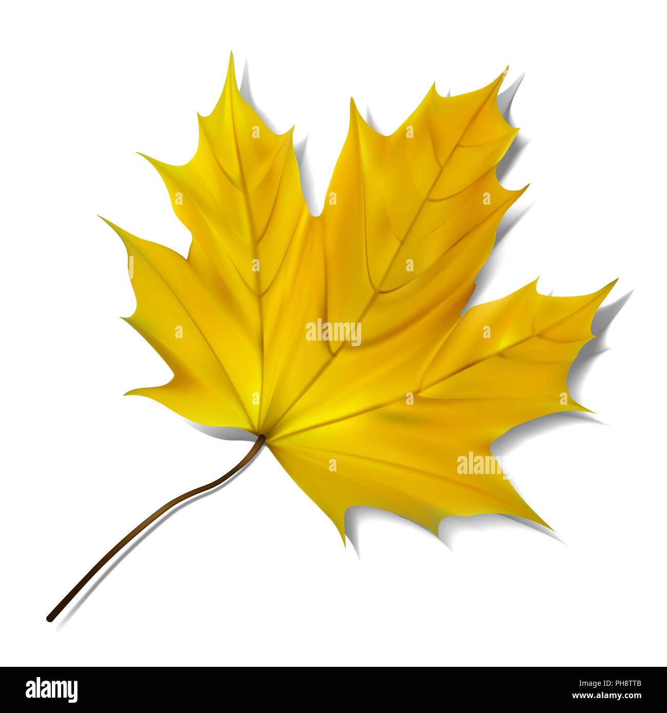 Yellow leaf shape art Cut Out Stock Images & Pictures - Alamy