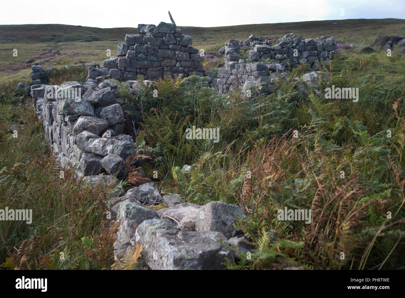 Scotland. Sutherland. Handa Island. An abandonned and derelict croft ...
