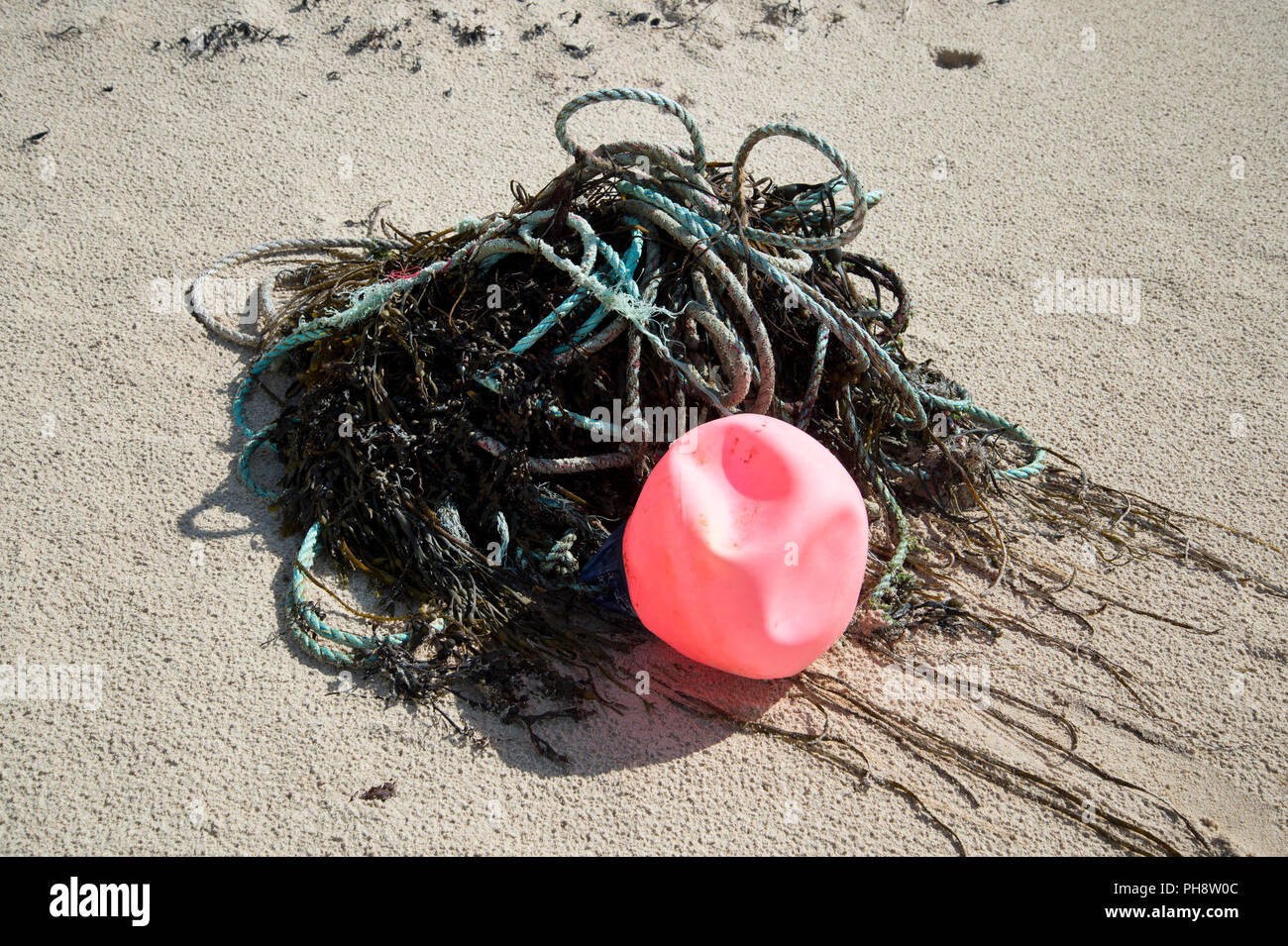 Scotland. Sutherland. Oldshoremore beach. Seaweed, rope, and old buoy ...