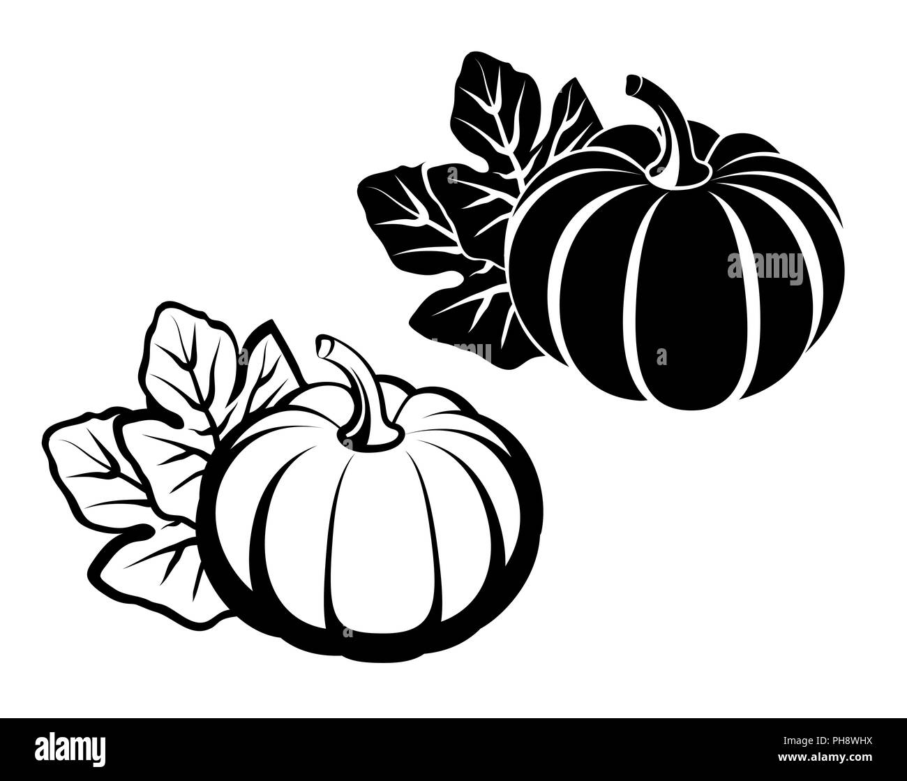 Black And White Pumpkin Clipart