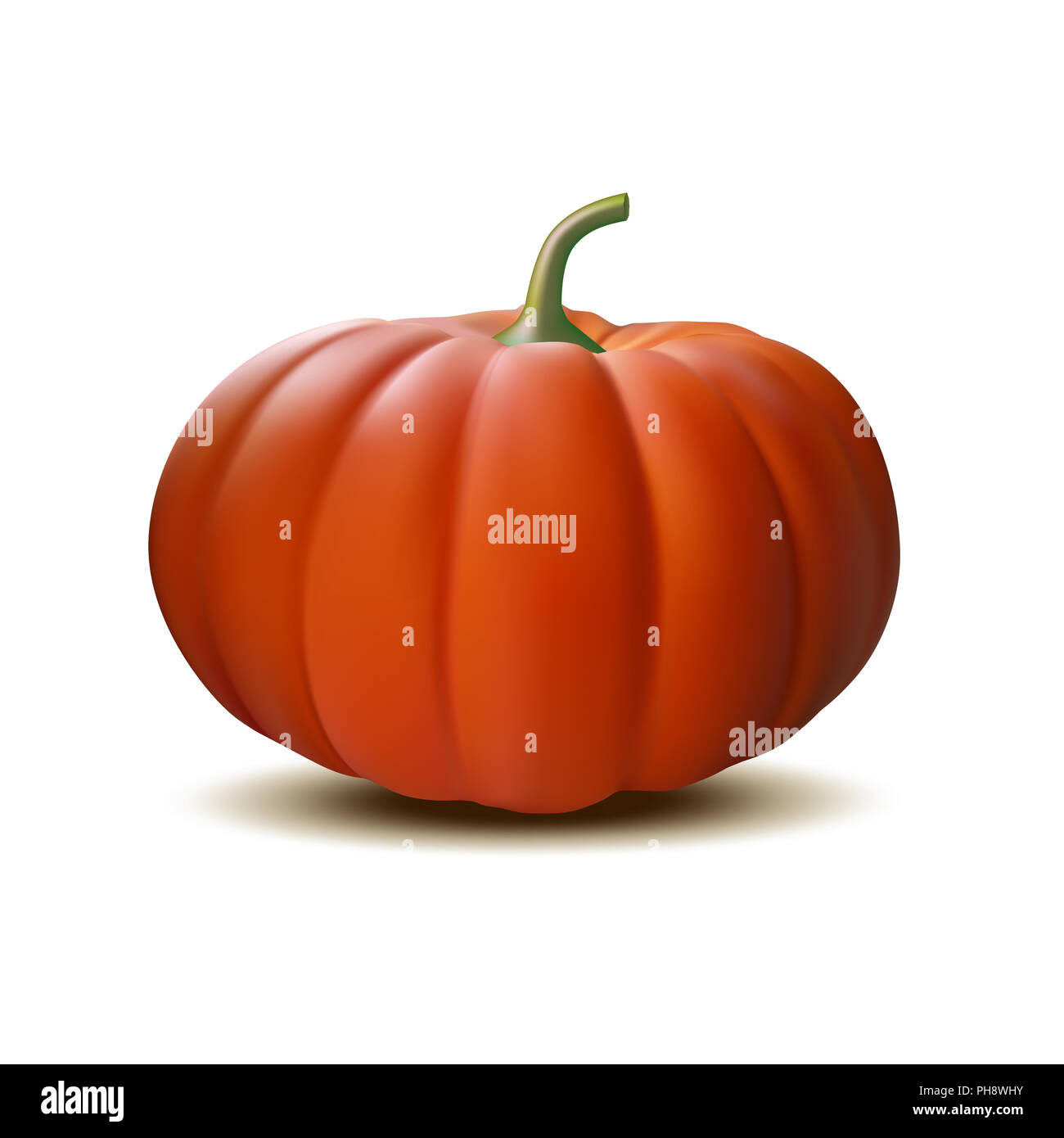 Halloween thanksgiving realistic pumpkin Cut Out Stock Images ...