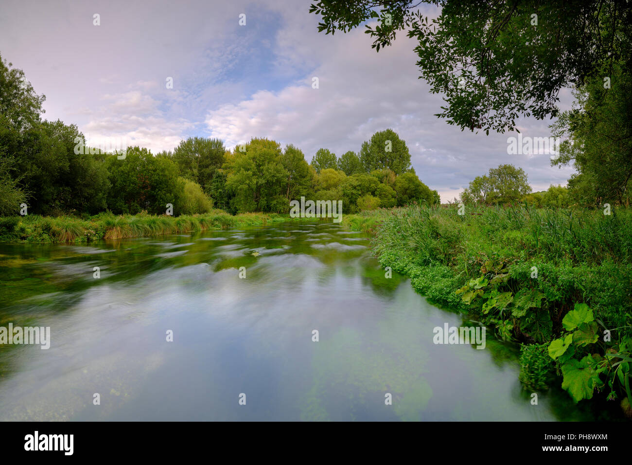 Trout fishing on the itchen hi-res stock photography and images - Alamy