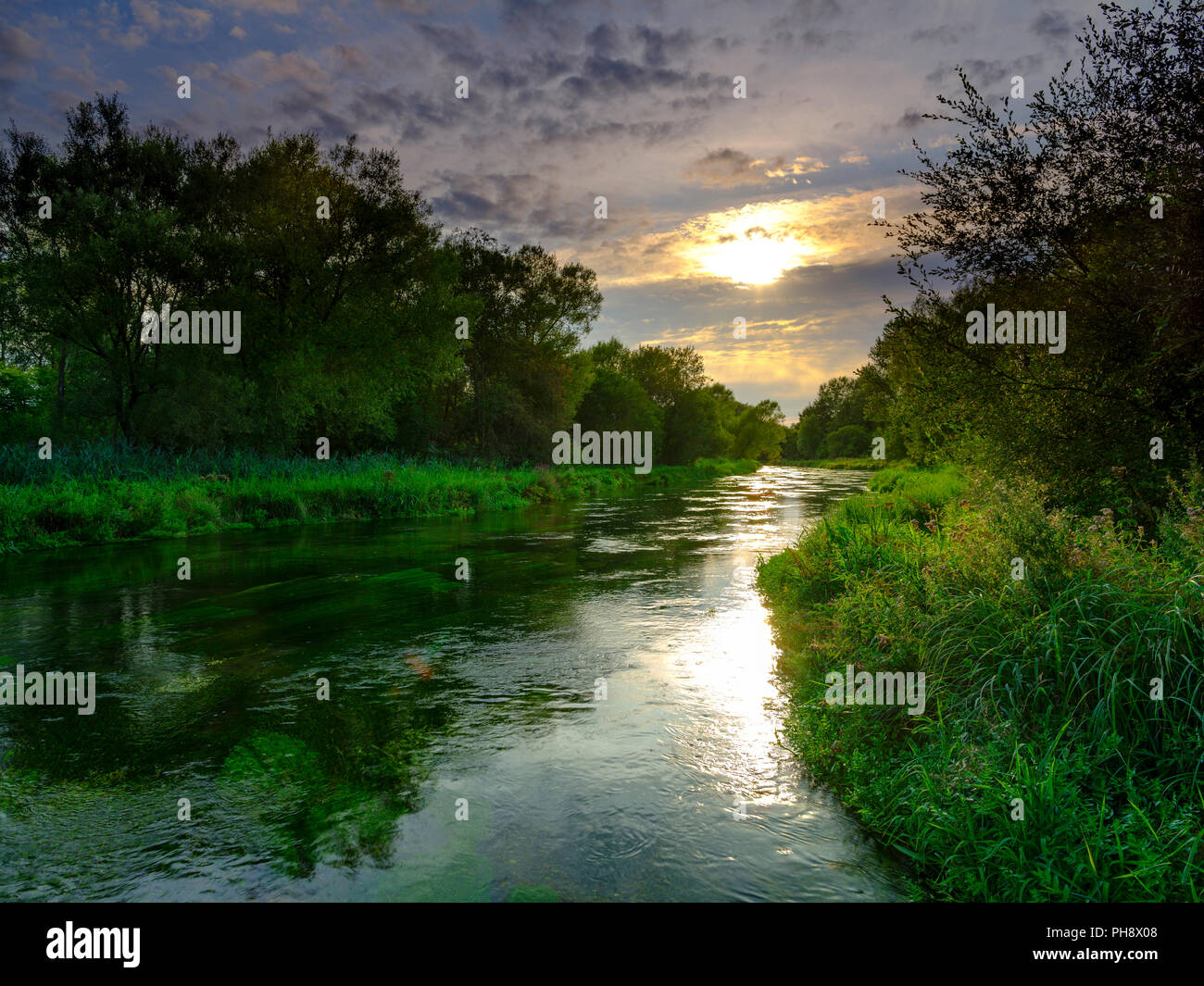 Summer evening golden light on the River Itchen - full of Water ...