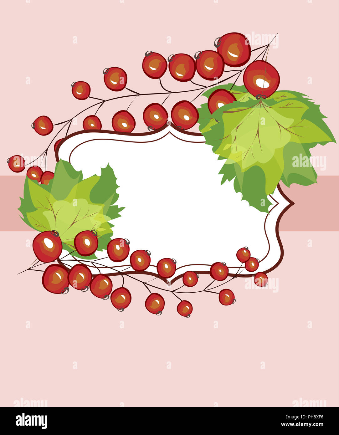 Vector hand drawn label currants Stock Photo - Alamy