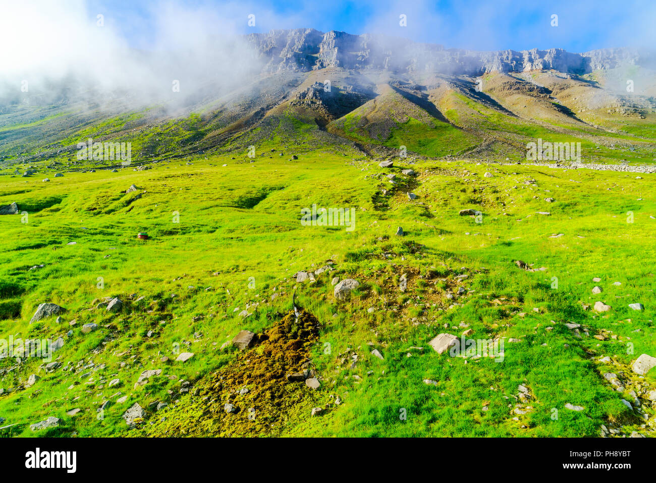 Iceland green field hi-res stock photography and images - Alamy