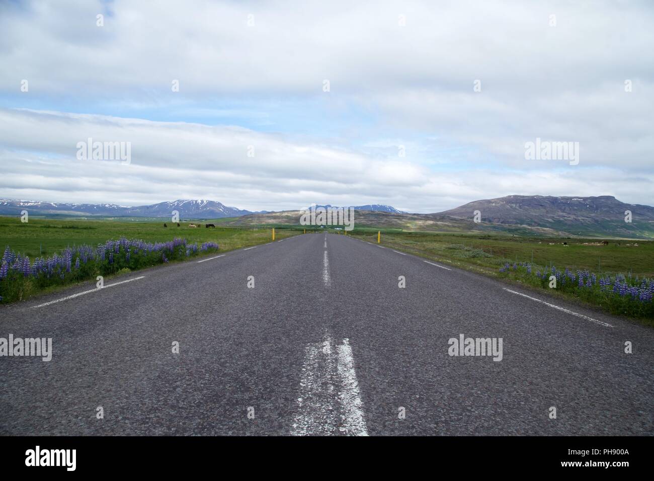 Country iceland hi-res stock photography and images - Alamy