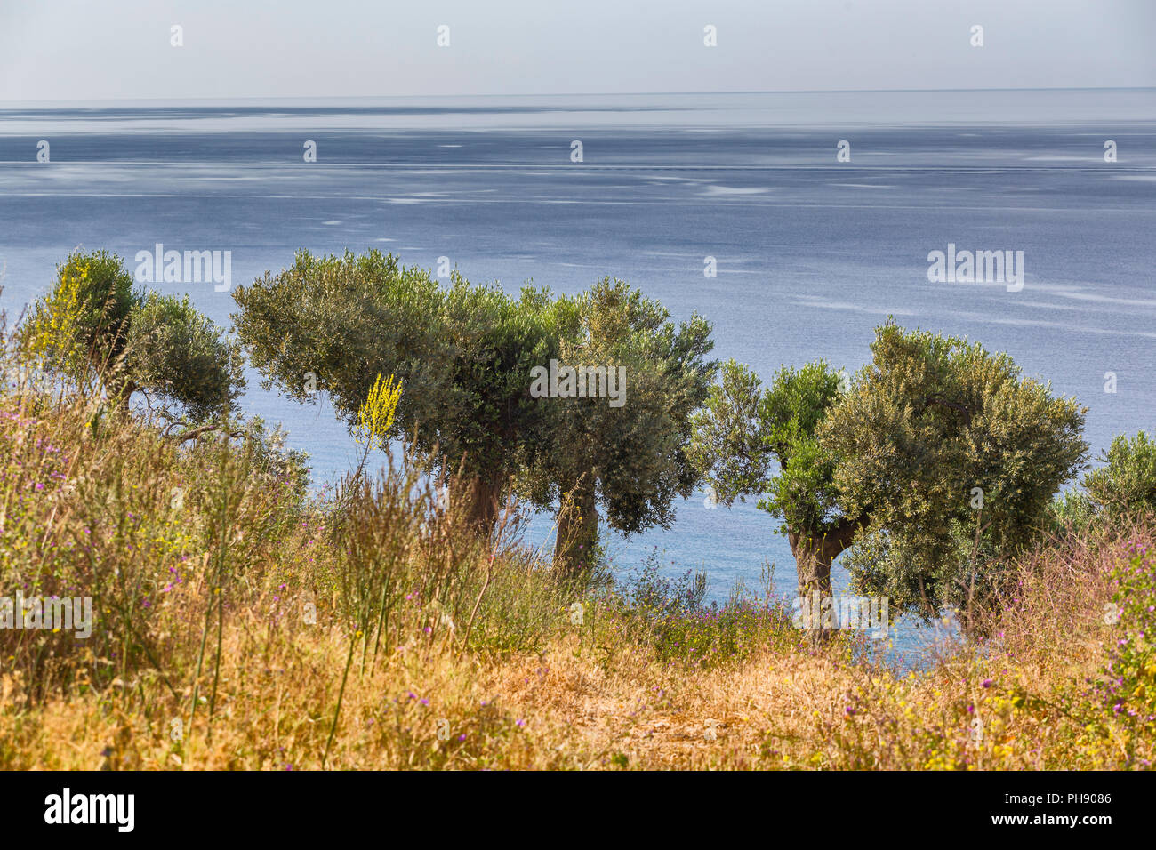 Aegean sea coast, Mount Athos, Athos peninsula, Greece Stock Photo - Alamy