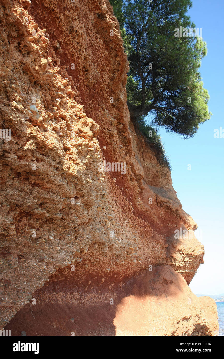 Tree roots rock hi-res stock photography and images - Alamy