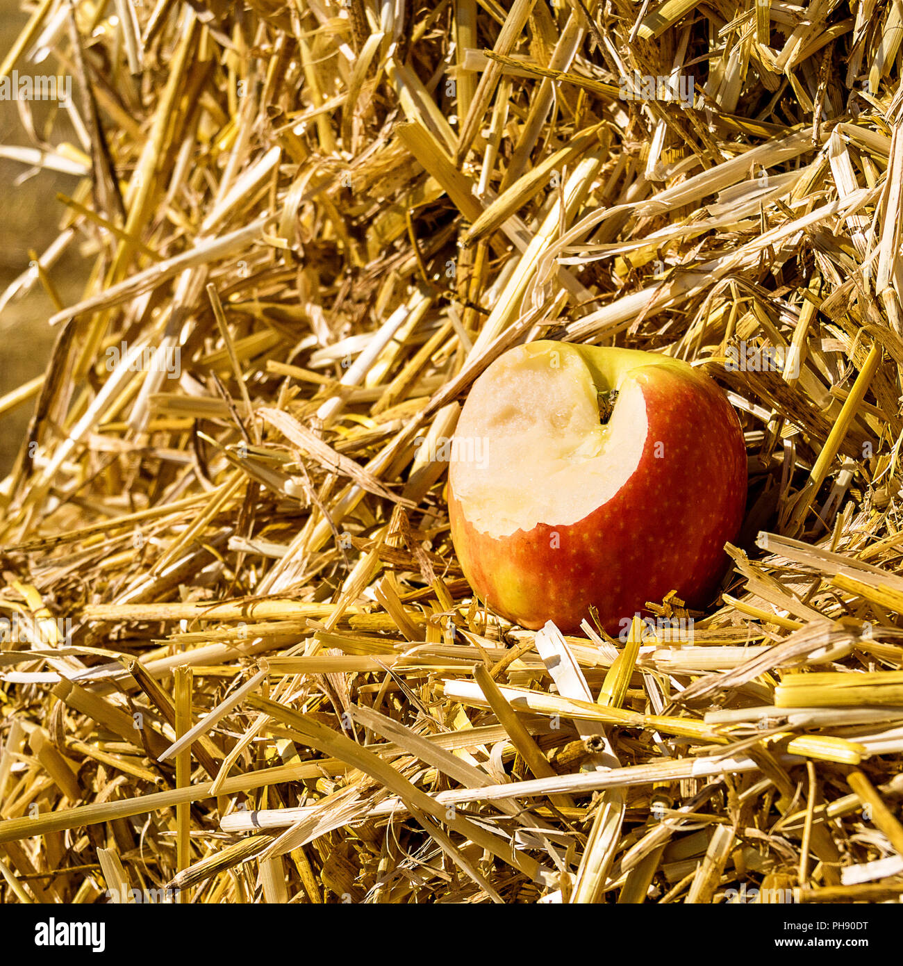Bites an apple hi-res stock photography and images - Alamy