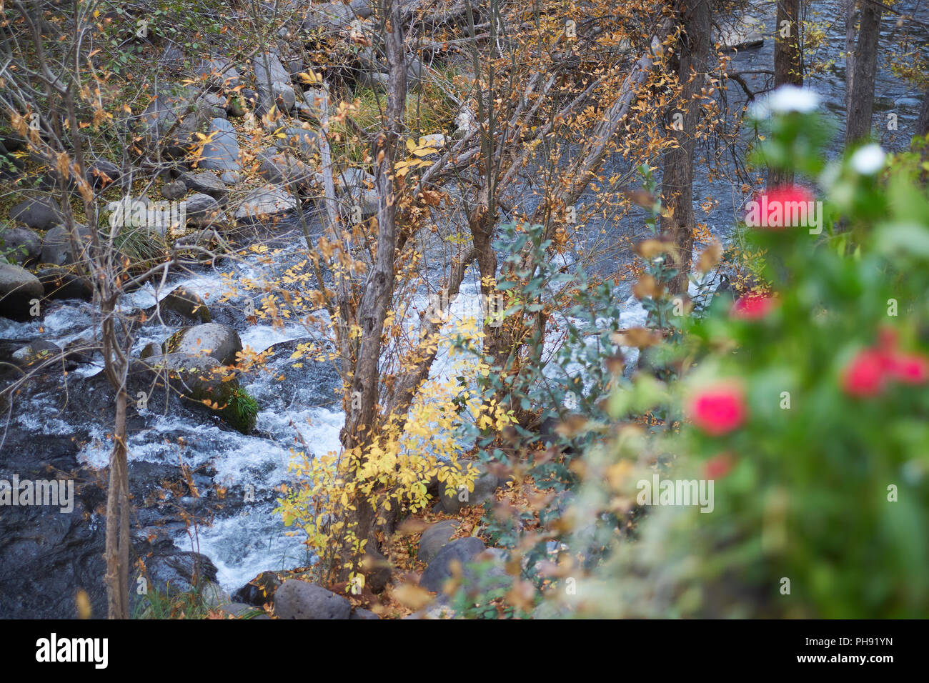 high veiw of of rushing creek water Stock Photo - Alamy