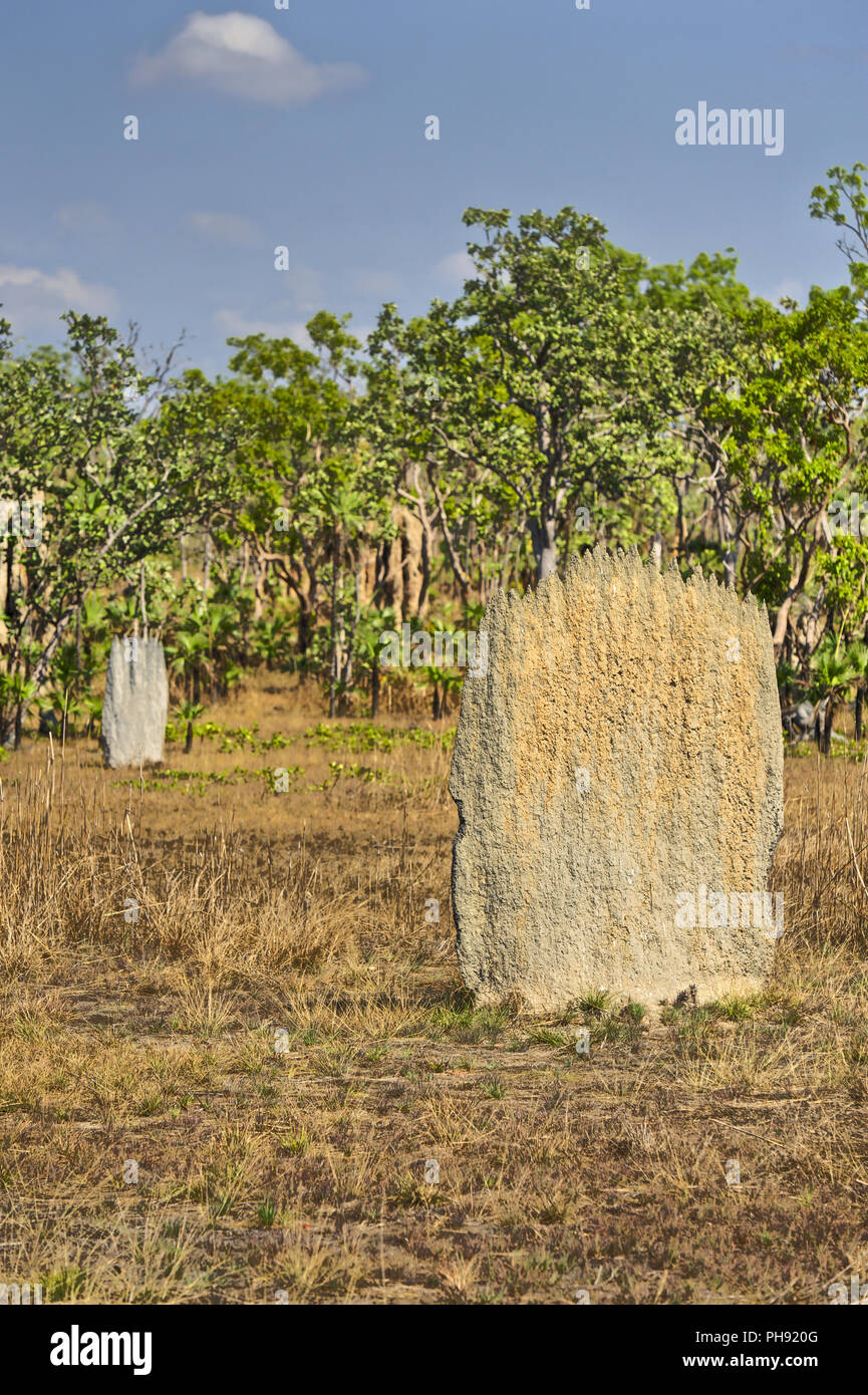 Termite mounts hi-res stock photography and images - Alamy