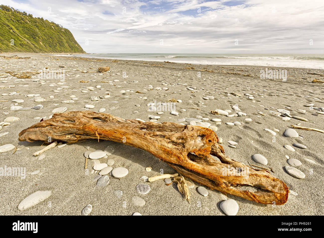 Driftwood and pebbles on Okarito Beach Stock Photo - Alamy