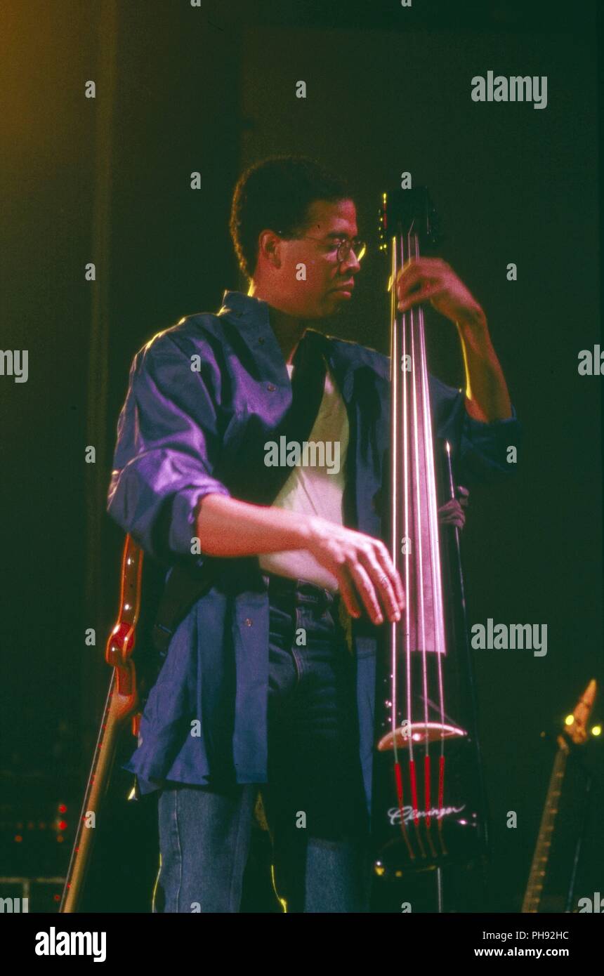 Stanley Clarke von "Animal Logic", britische Progressive-Rock ...