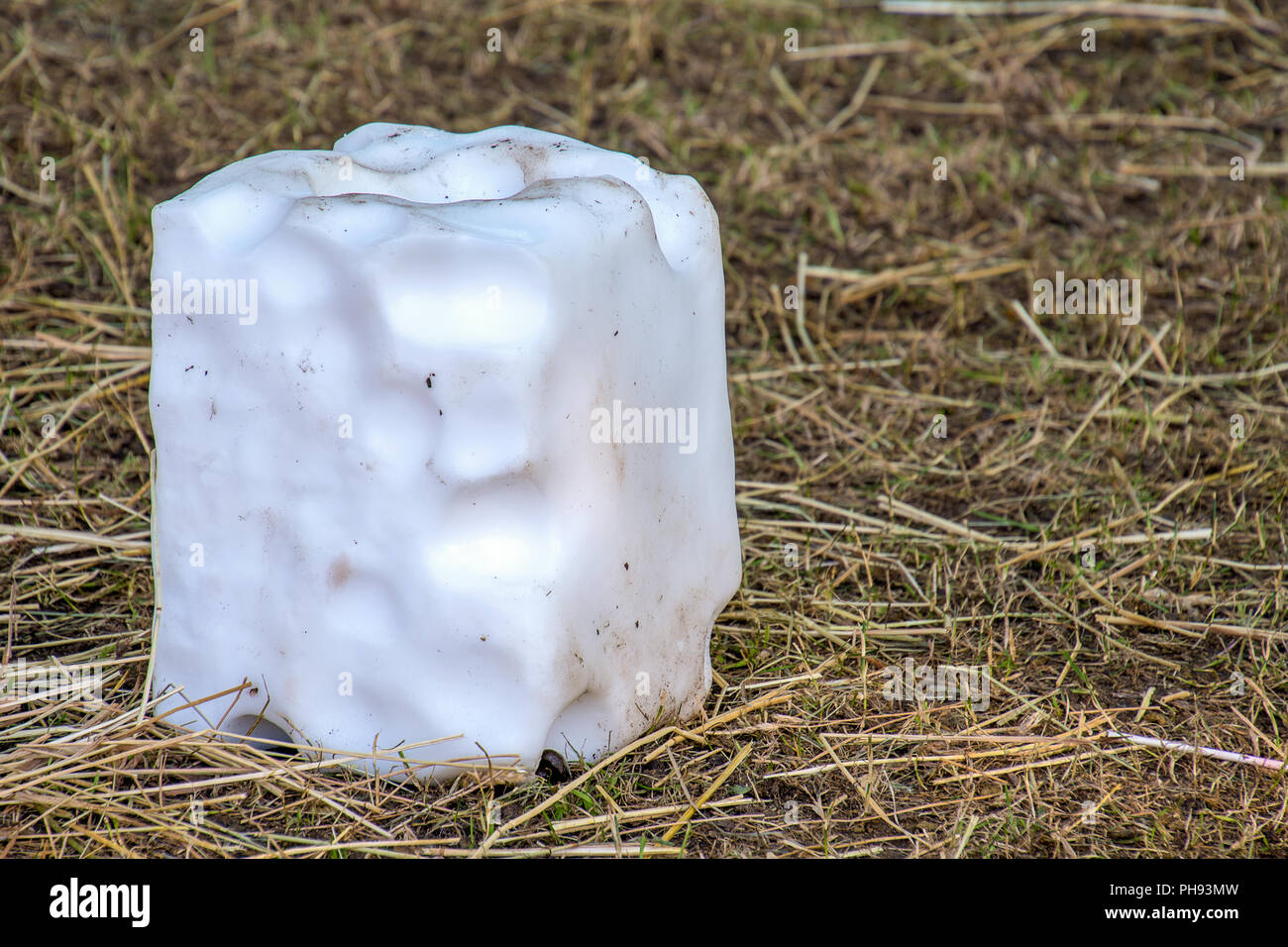 Salt lick block hi-res stock photography and images - Alamy