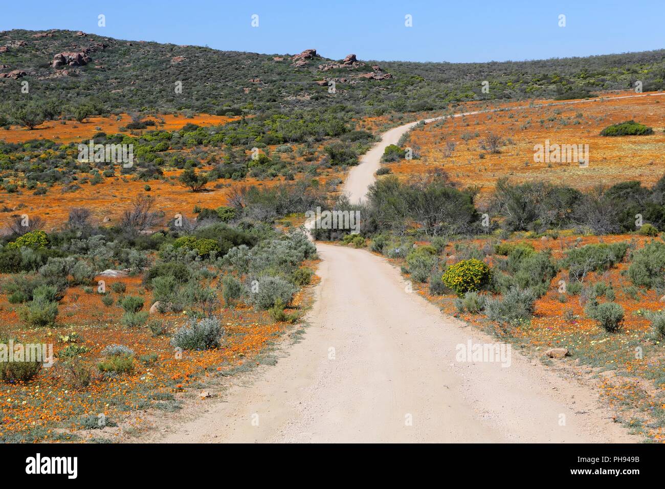 Namaqualand national park hi-res stock photography and images - Alamy