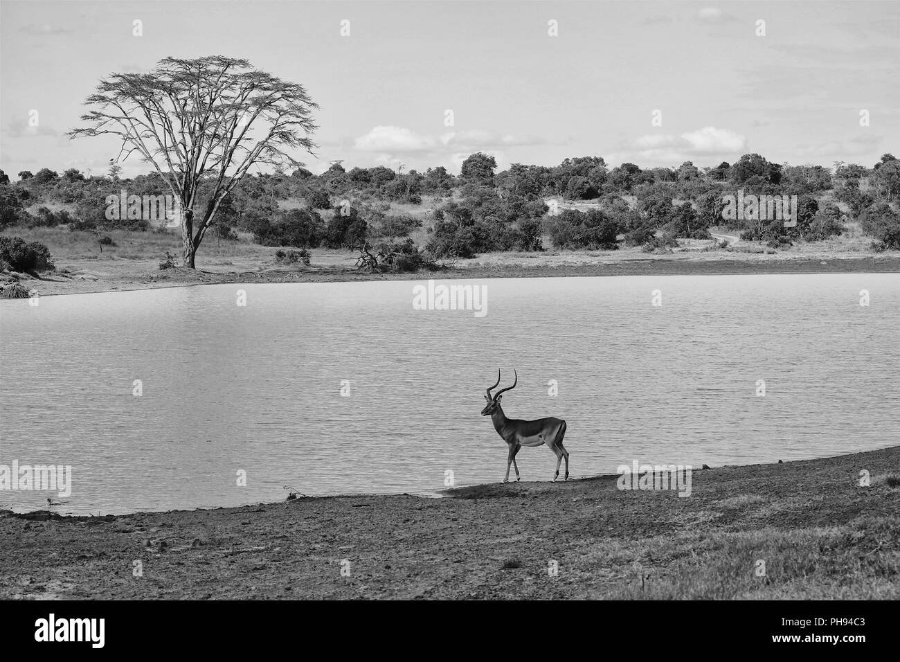 National parks africa Black and White Stock Photos & Images - Alamy