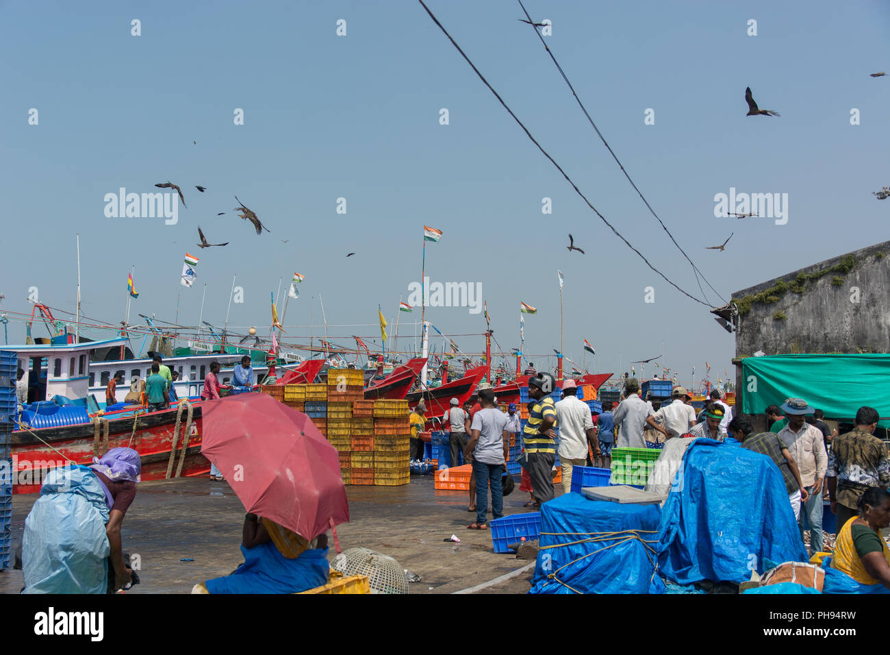 Young man on fish stall hi-res stock photography and images - Alamy
